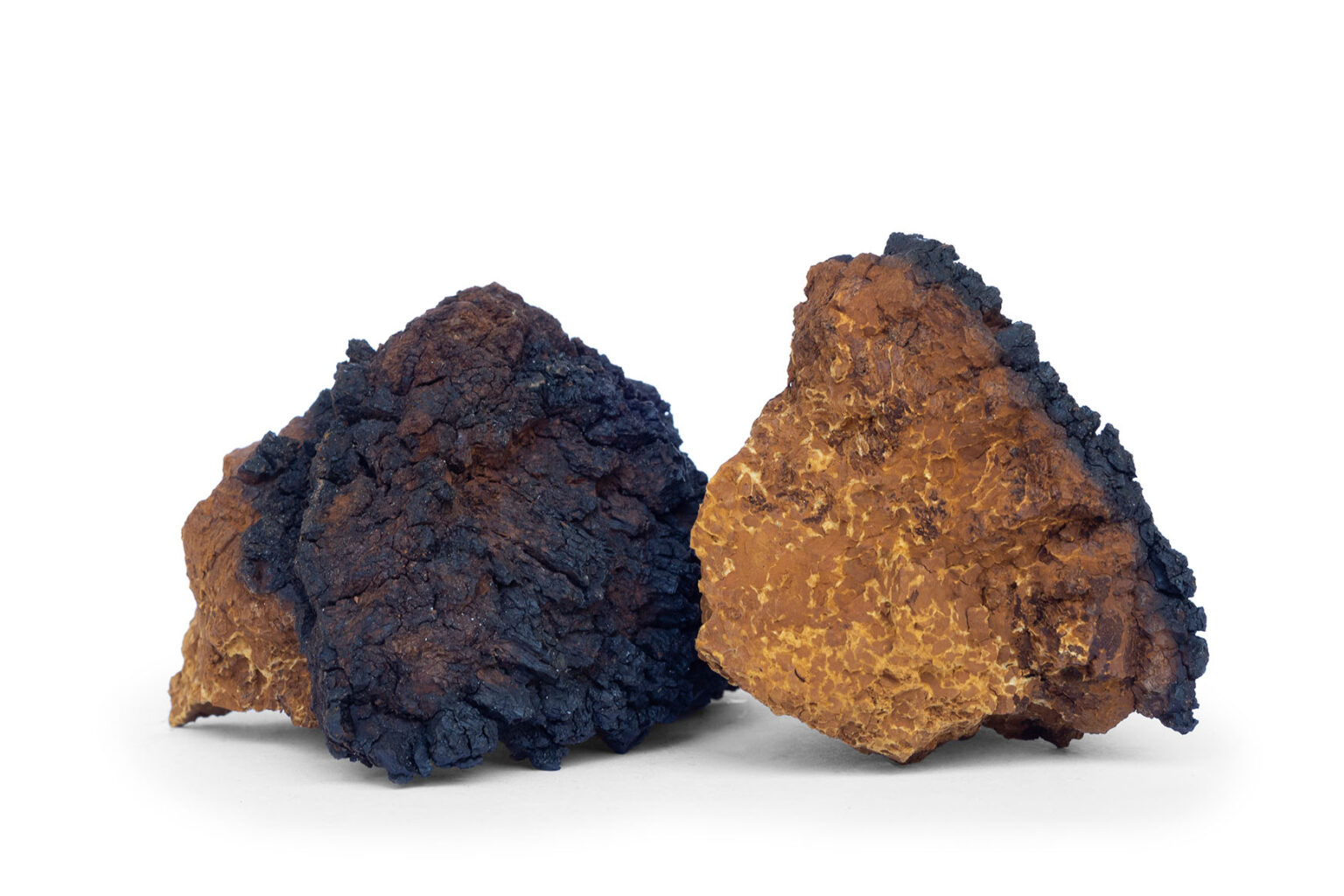 RealChaga® – Chaga Extract - Nammex